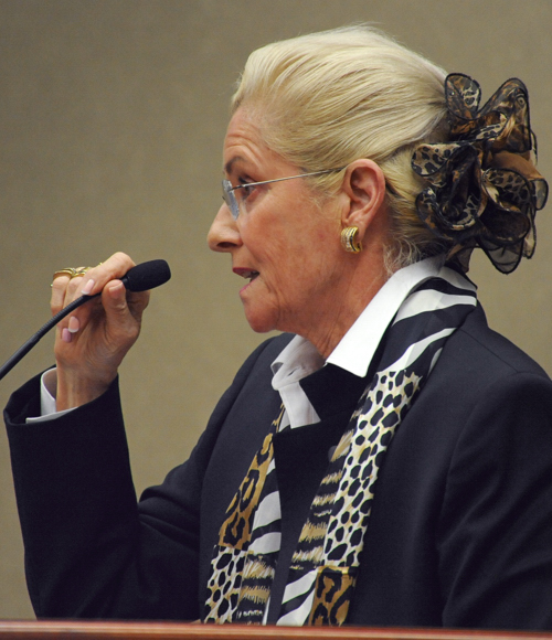 Council approved new zoning for central beach – Indian River Guardian