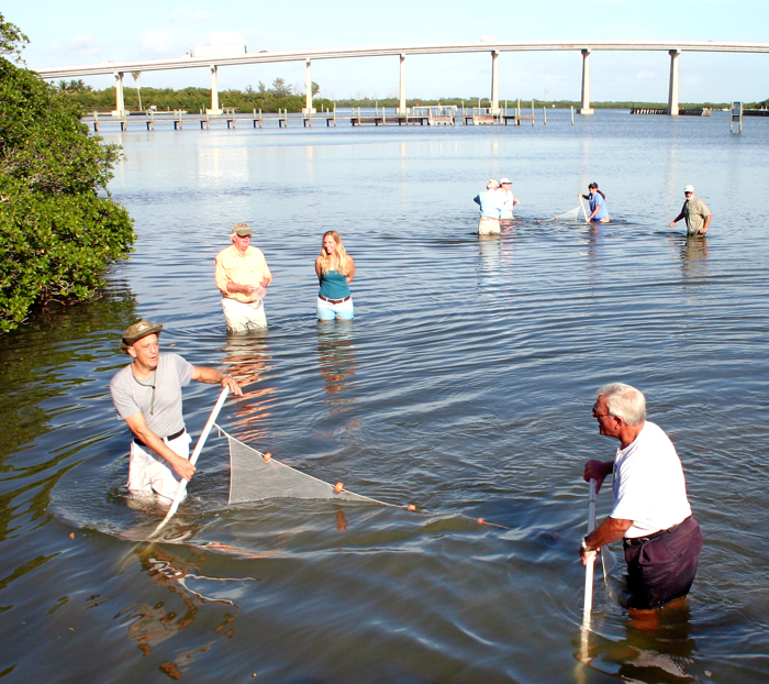 Sept. 26 is National Estuaries Day at the Environmental Learning Center ...