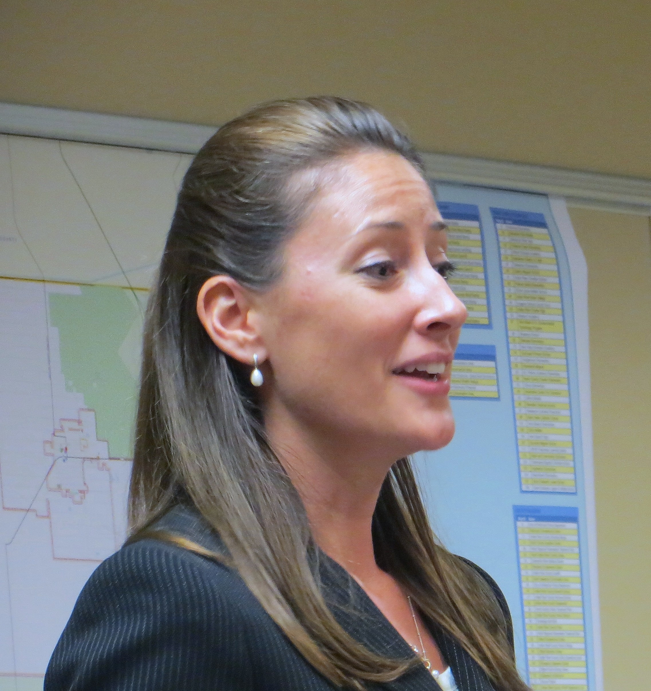 County attorneys present All Aboard Florida status to the Economic ...