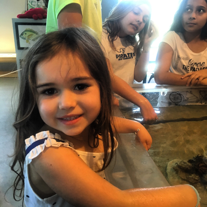 Time to register for Environmental Learning Center summer camps ...