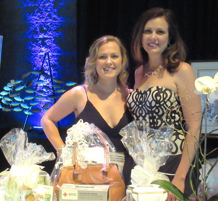 IRC Healthy Start Coalition Announces ‘A Decade of Dancing’ – Indian ...