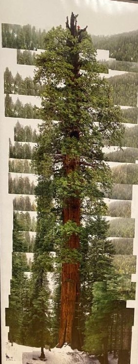 Photographer James Balog Retrospective at VBMA – Indian River Guardian