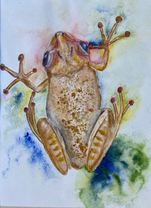 Cultural Calendar Dec 8-15 – Indian River Guardian