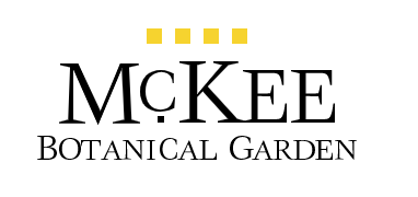 Mckee Botanical Garden’s Titan Arum could bloom at any moment – Indian ...